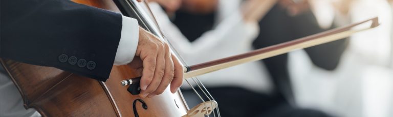 Ruby Diamond Seating Guide - Tallahassee Symphony Orchestra